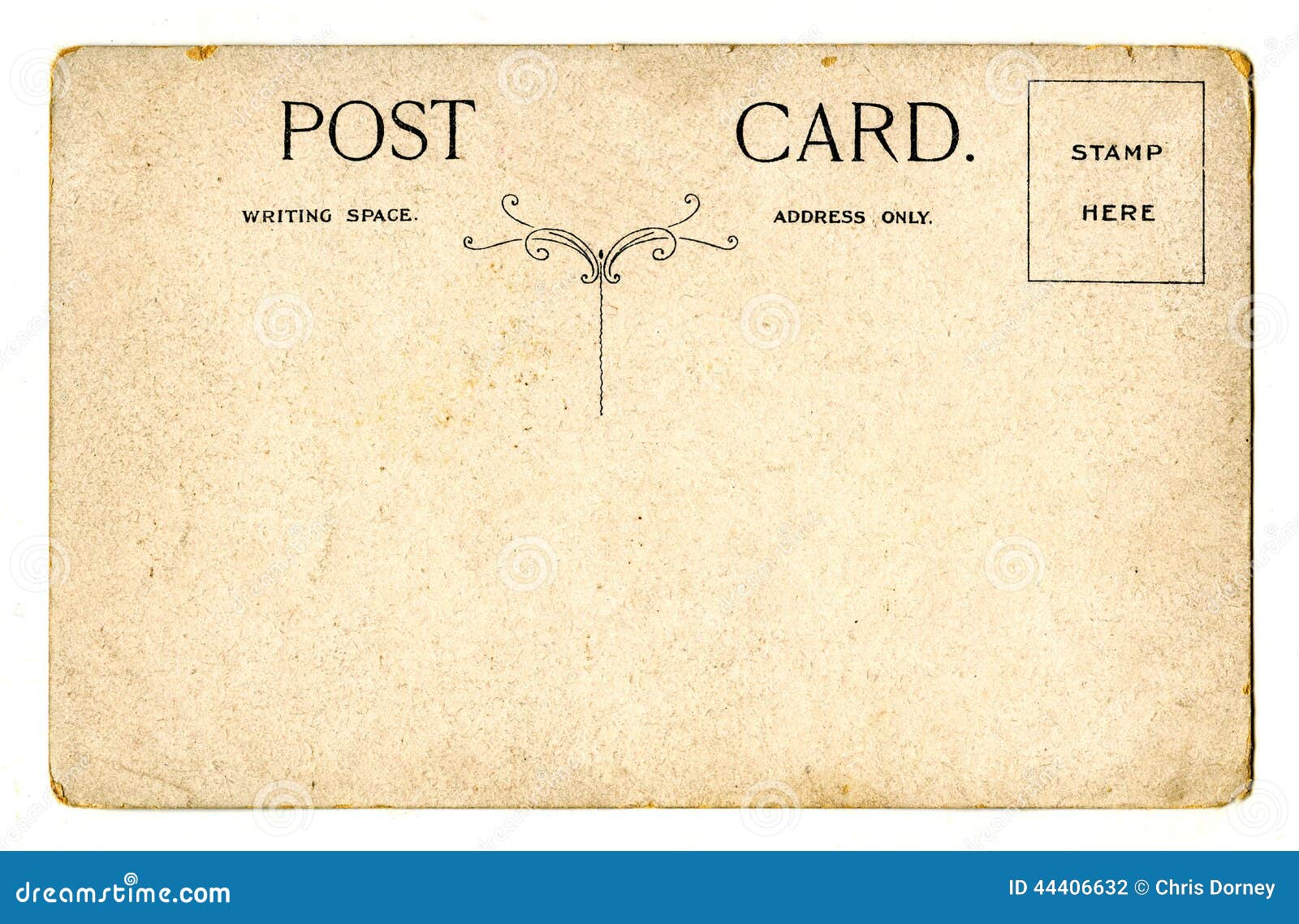 Vintage Postcard, Cosmos Flower In The Field, Paper Texture Retro Style ...