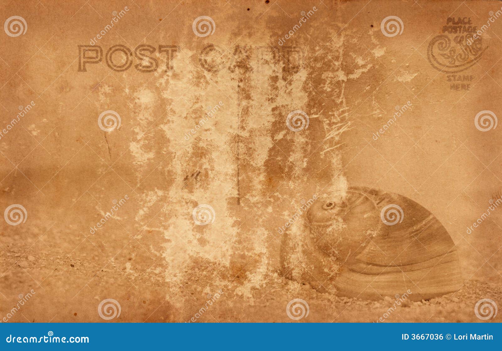 1,034 Scratched Shell Stock Photos - Free & Royalty-Free Stock Photos ...