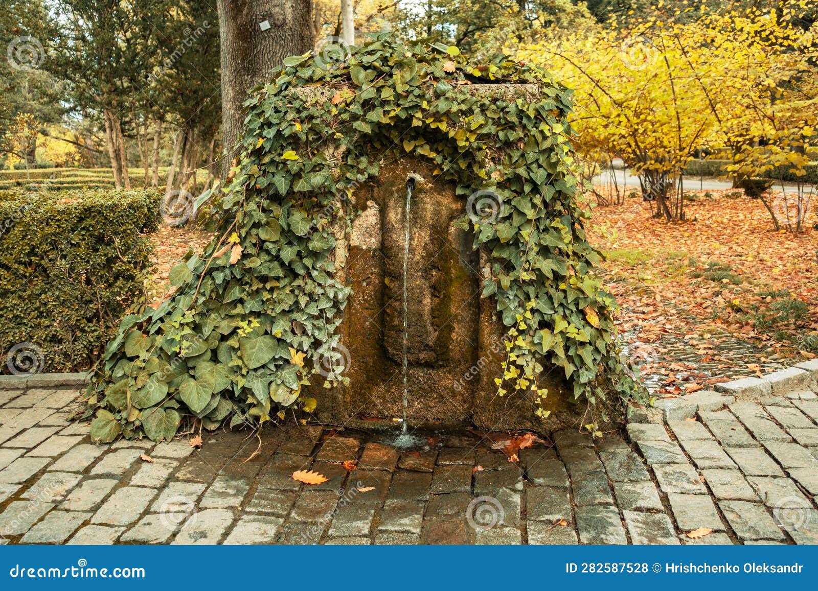 Vintage Pump Room with Drinking Water Decorated with a Plant Stock ...