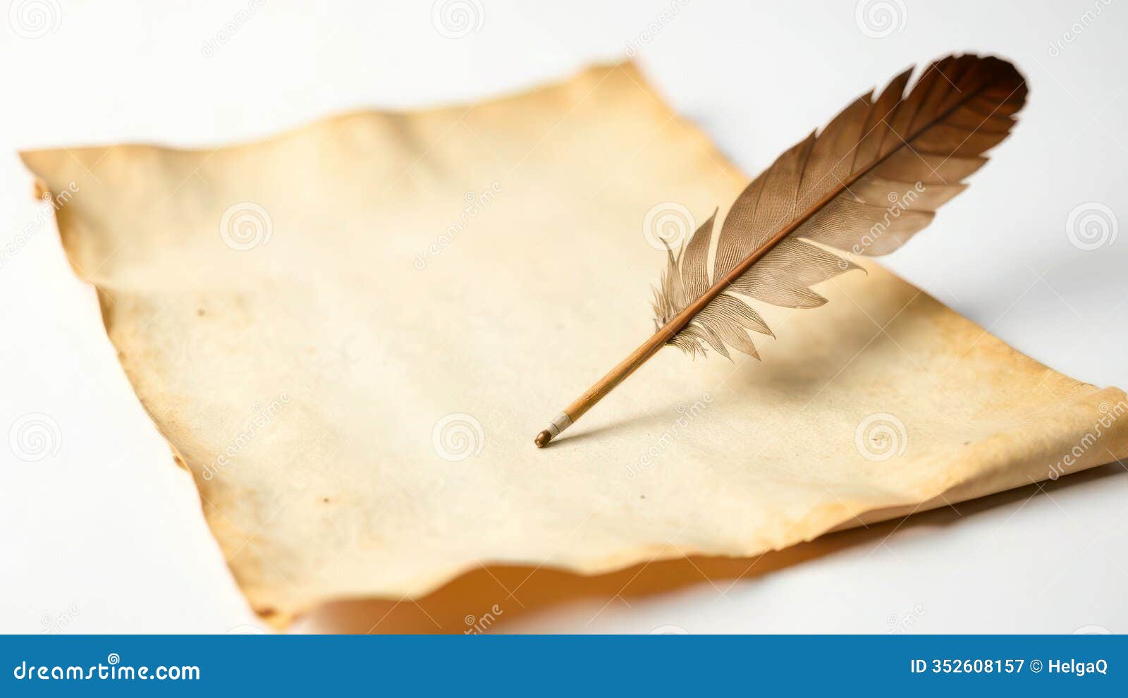 Vintage Quill Pen on Aged Parchment Paper Stock Illustration ...