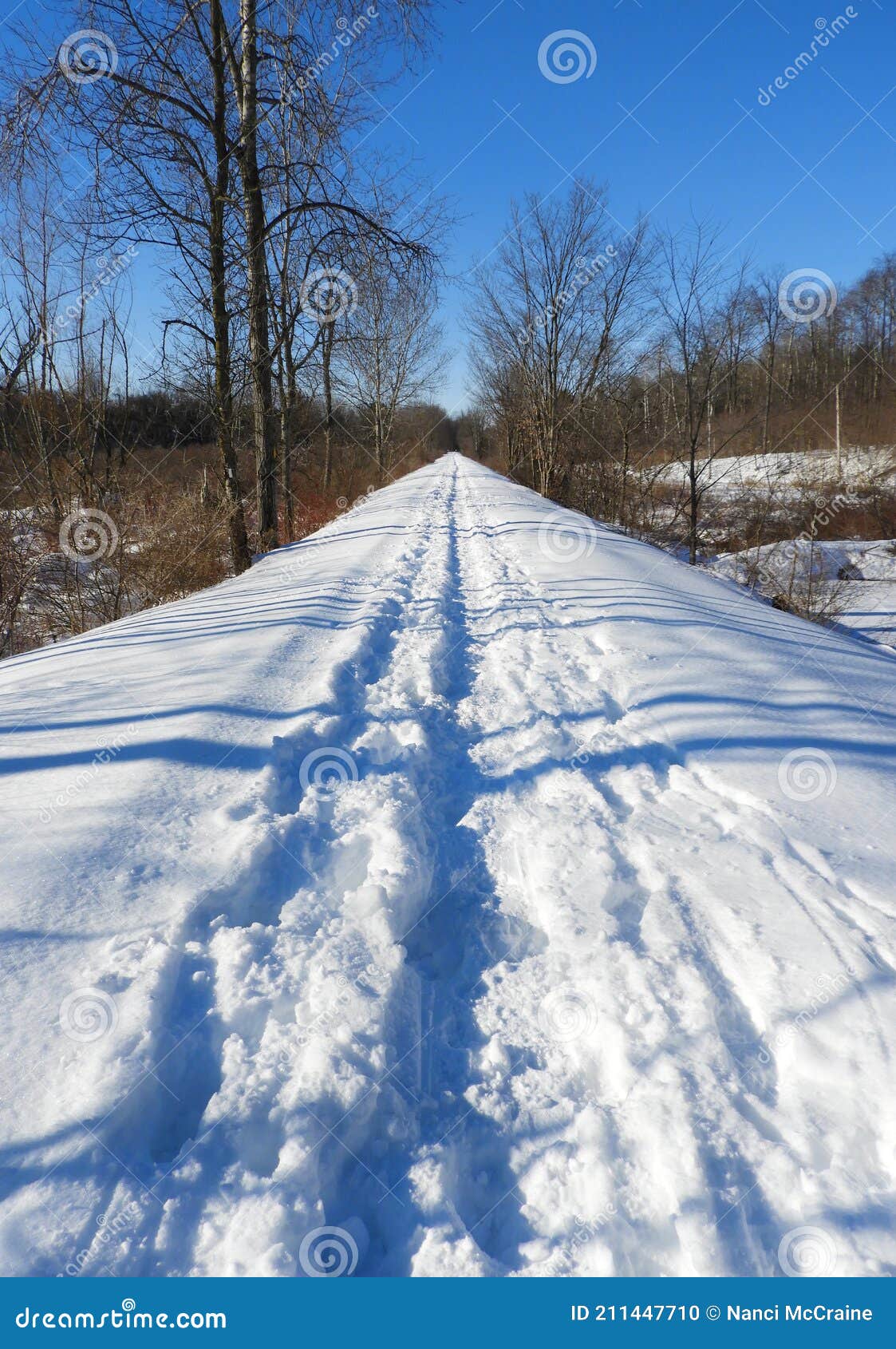 Vintage Railroad Track Repurposed Hiking Path in Winter Stock Photo ...
