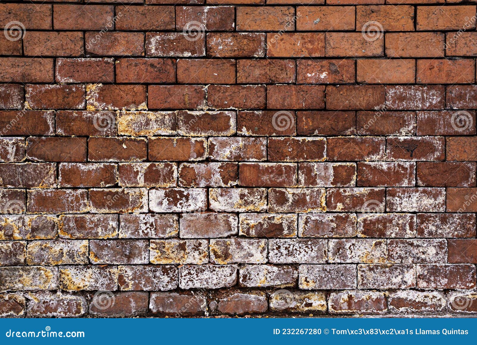 Vintage Red Brick Wall with Salt Residue on the Surface. Vector Brick ...
