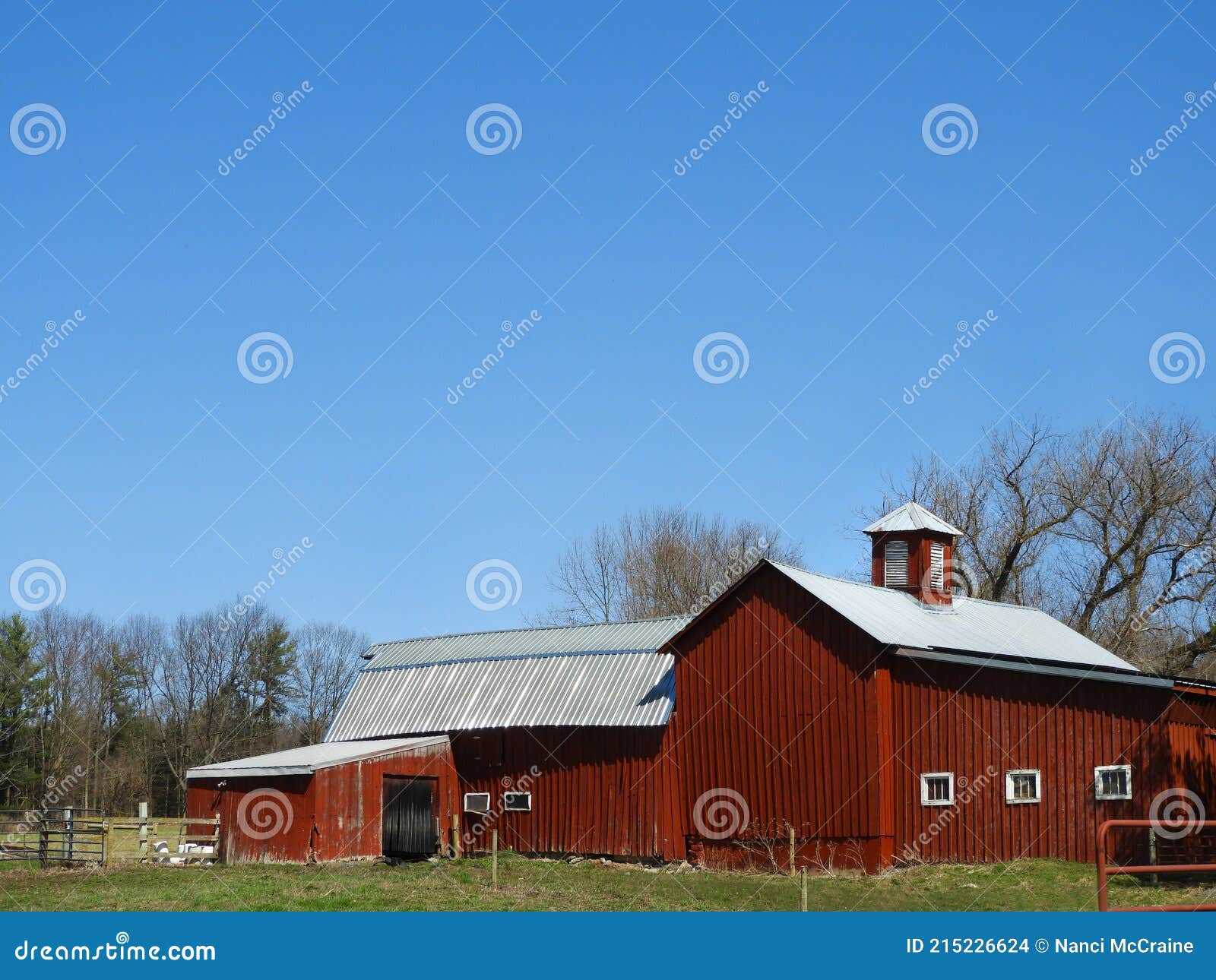 Farmers Barns On The Background Of A Yellow Flowering Rapeseed Field ...