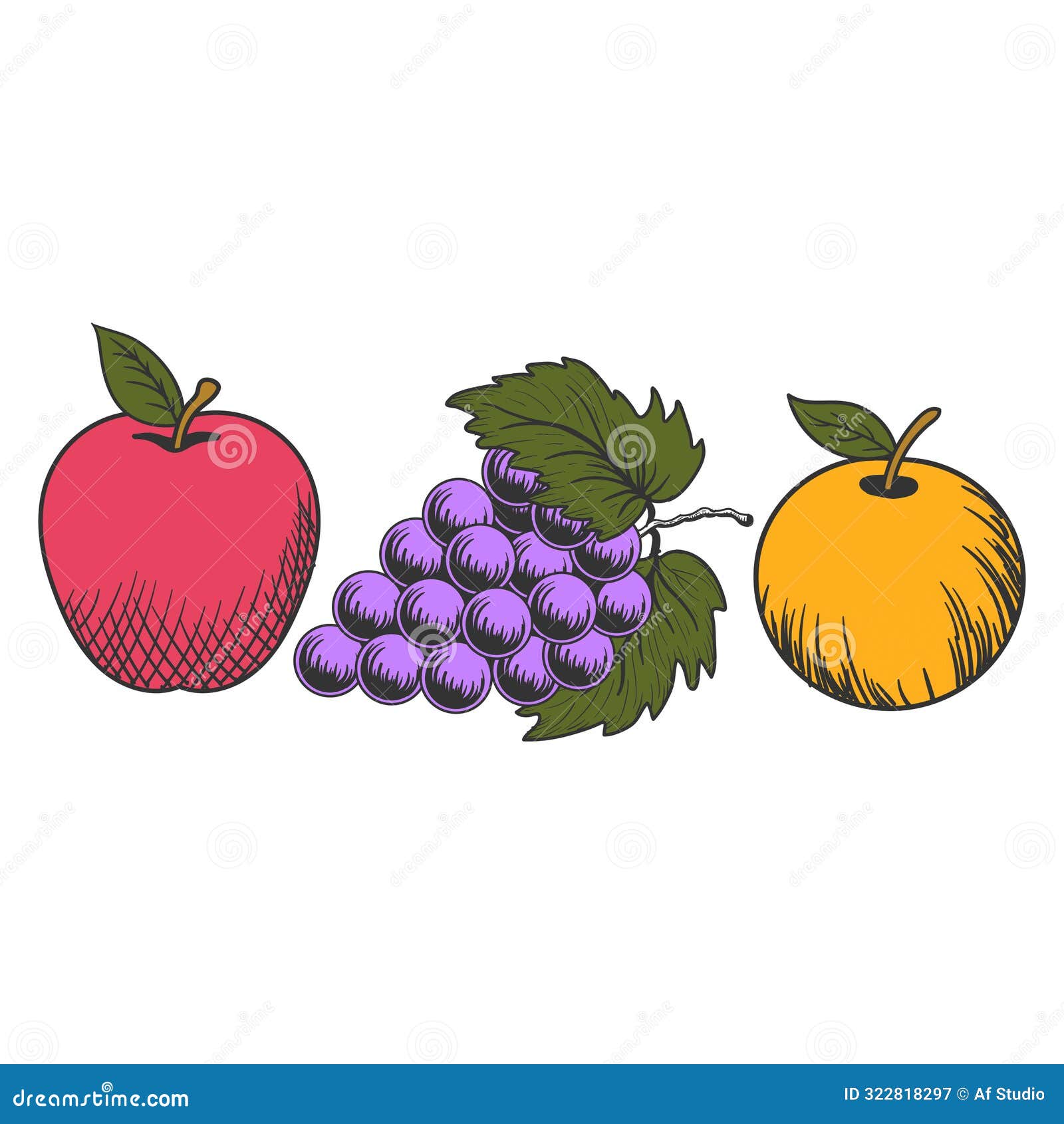 Vintage Retro Apple Grape Orange Lemon Citrus Illustration Stock Vector ...