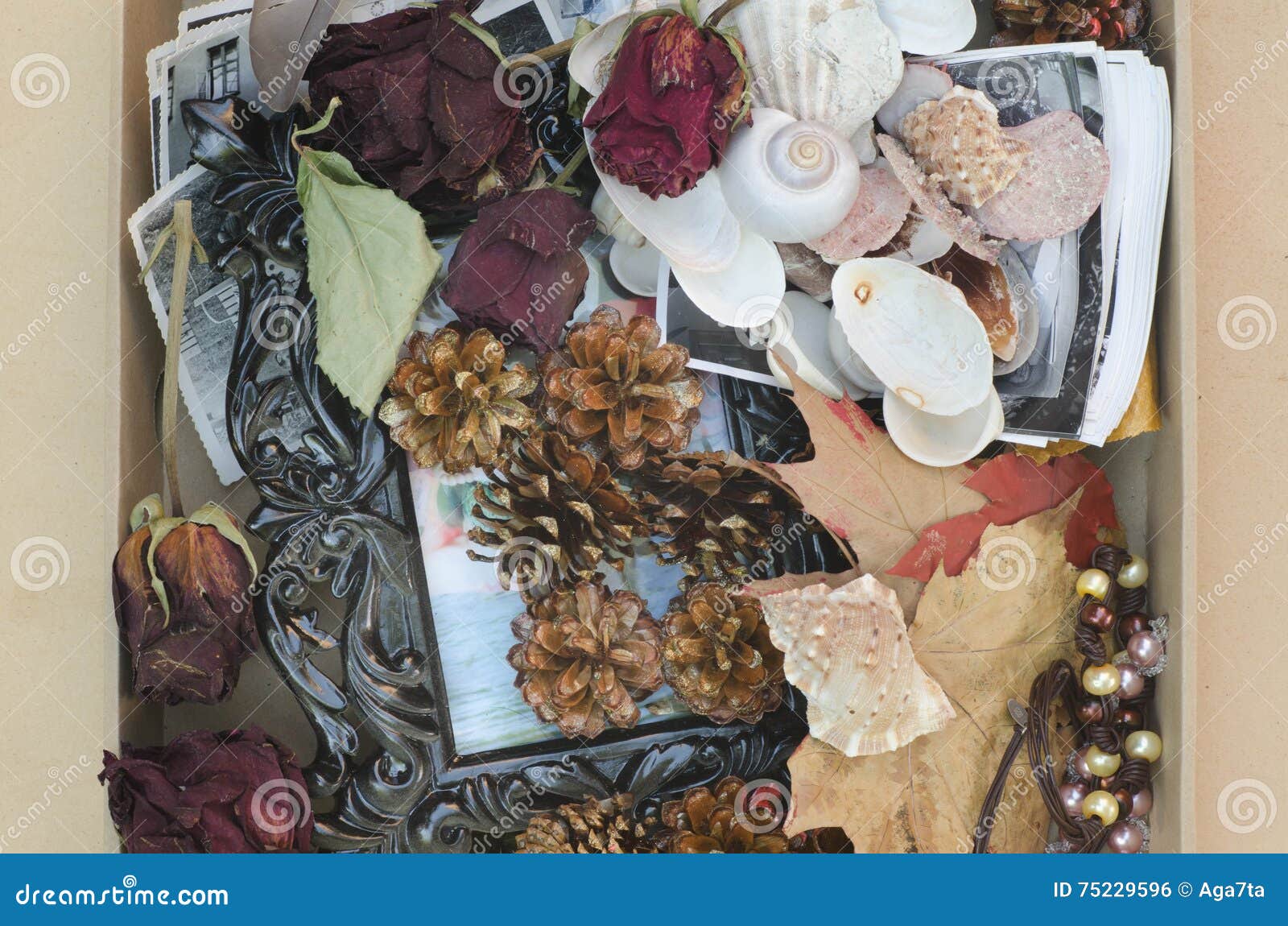 Vintage retro objects stock photo. Image of cones, photograph - 75229596