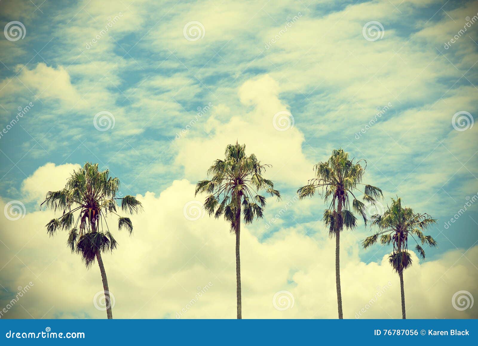Vintage retro palm trees stock photo. Image of palm, exotic - 76787056
