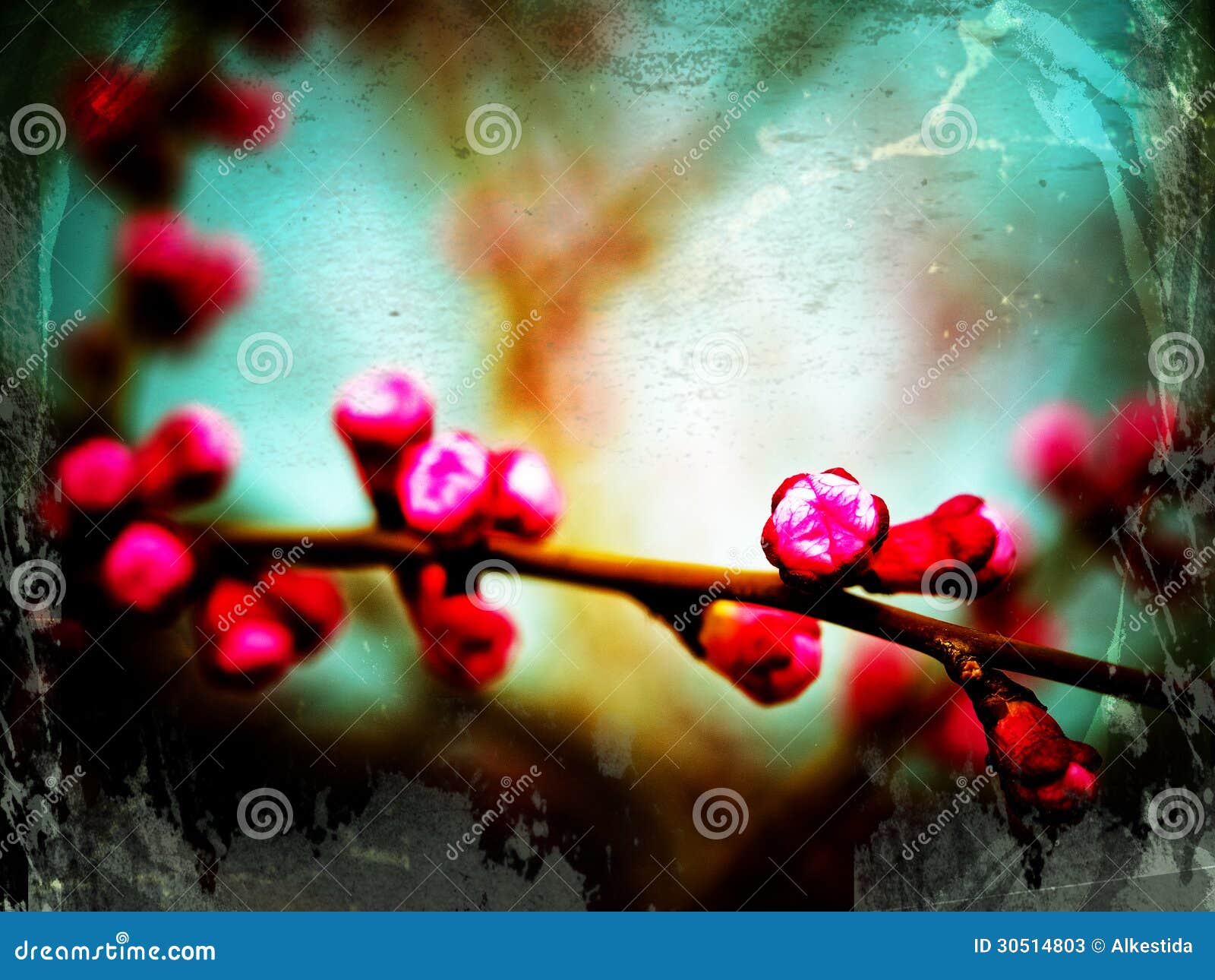 Vintage Retro Spring Flowers Stock Image - Image of blink, colour: 30514803