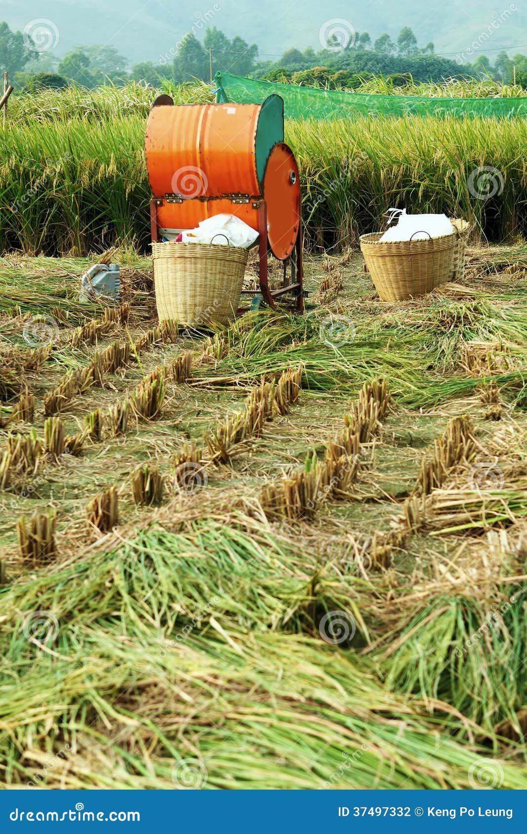 Vintage rice wood machine stock photo. Image of farmland - 37497332