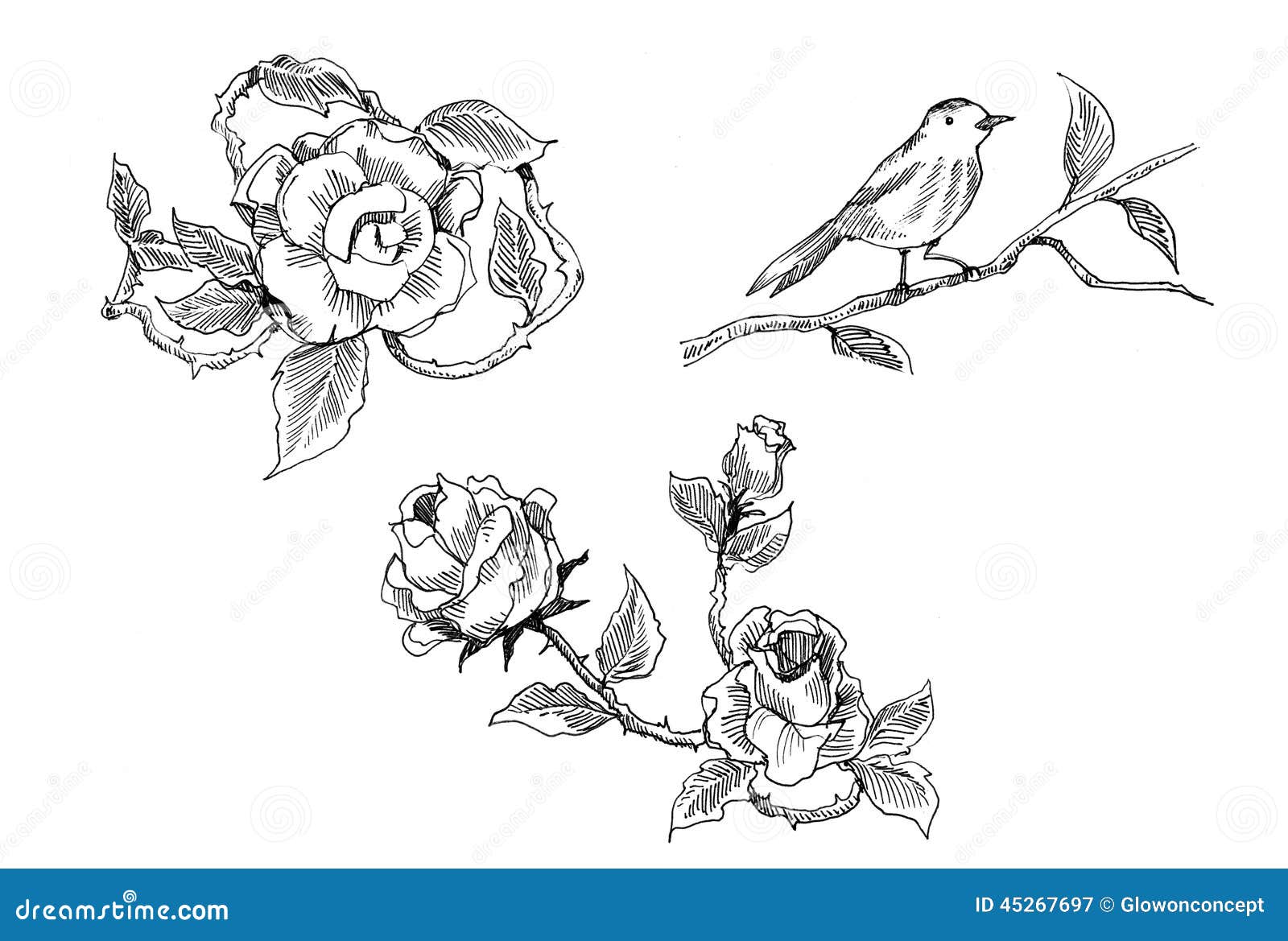 Vintage Rose and Bird Drawing Stock Illustration - Illustration of ...
