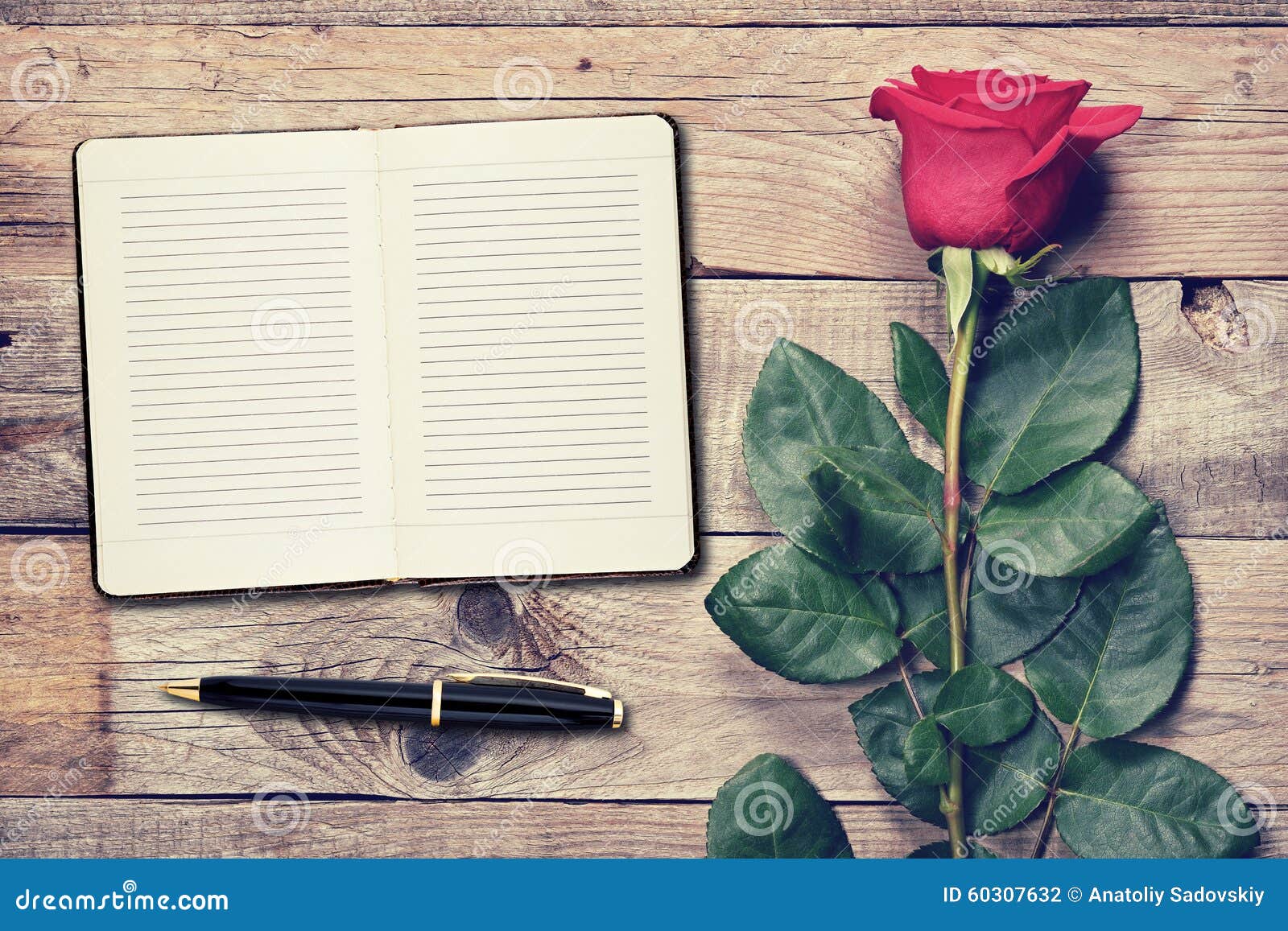 Vintage rose and diary stock photo. Image of opened, leaves - 60307632
