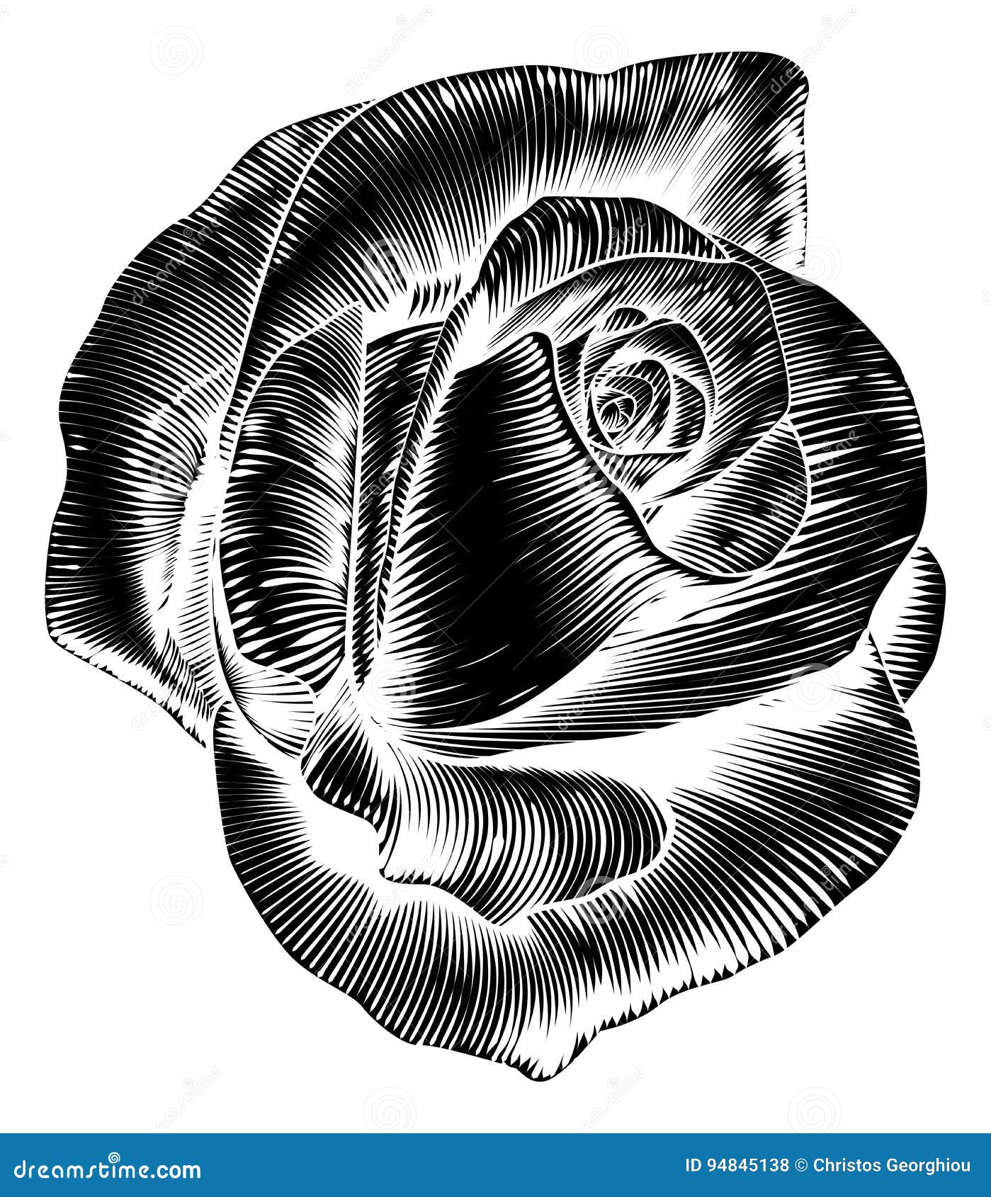 Vintage Rose Flower Etching Engraved Woodcut Stock Vector ...
