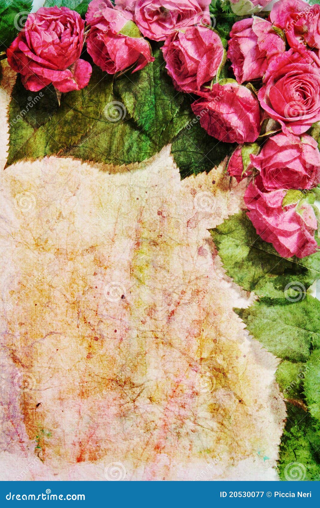 37,145 Vintage Rose Frame Stock Photos - Free & Royalty-Free Stock ...