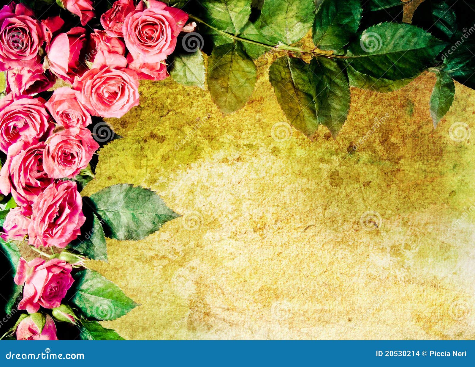 Old Rose Frame Stock Photo | CartoonDealer.com #6728100