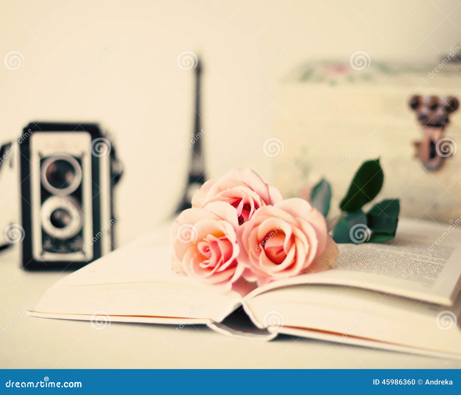 Vintage roses and book stock photo. Image of mother, hipster - 45986360