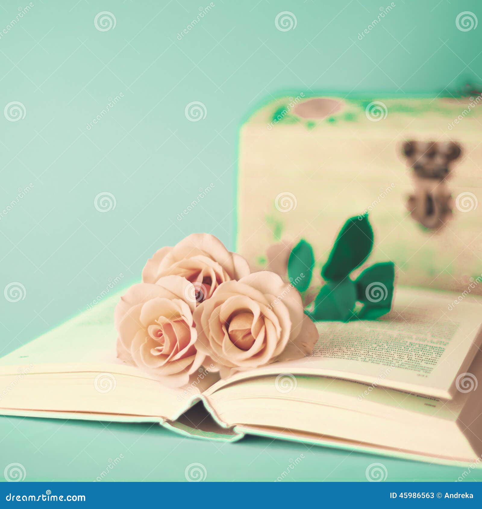 Vintage roses and book stock image. Image of pointe, girly - 45986563