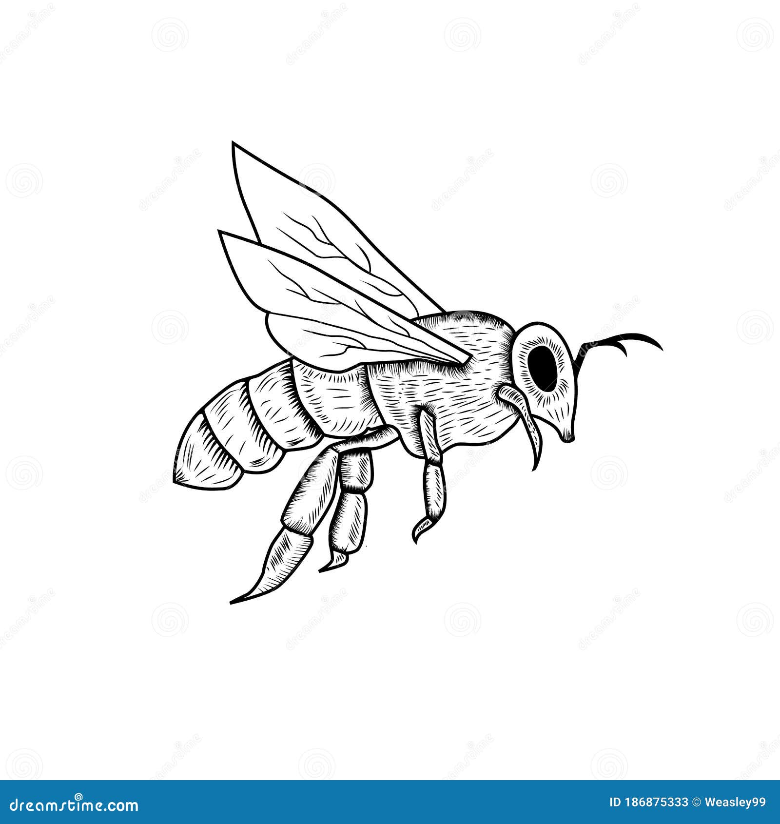 Vintage Rustic Bee, Bee Logo Design Template Vector Illustration Stock ...