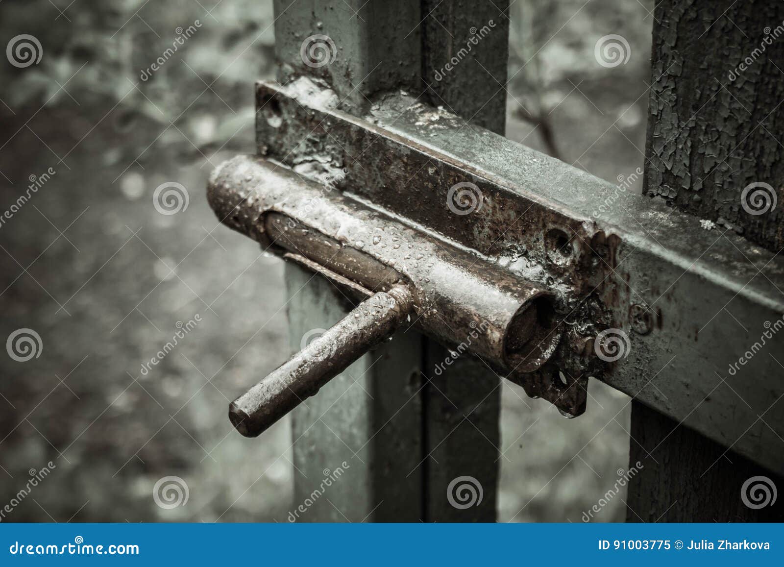 Vintage Rustic Lock after Rain, Opened Wet Gate. Stock Image - Image of ...