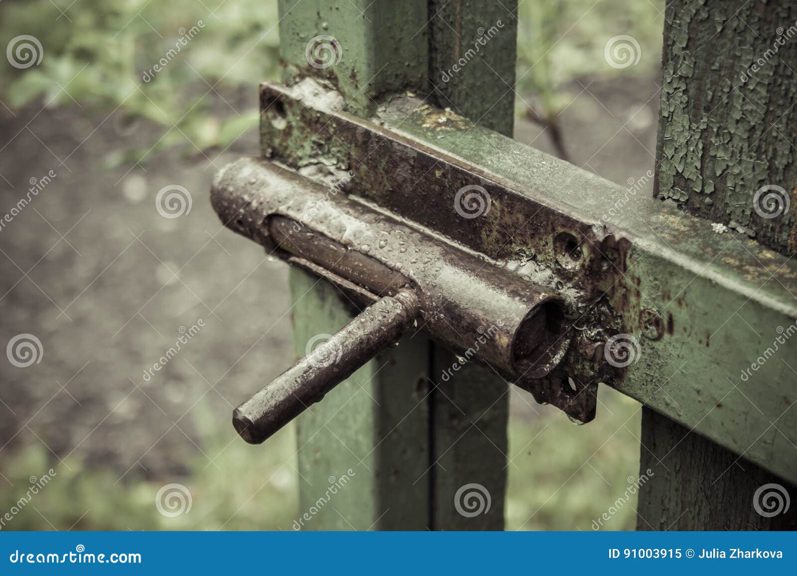 Vintage Rustic Lock after Rain, Opened Wet Gate. Stock Image - Image of ...