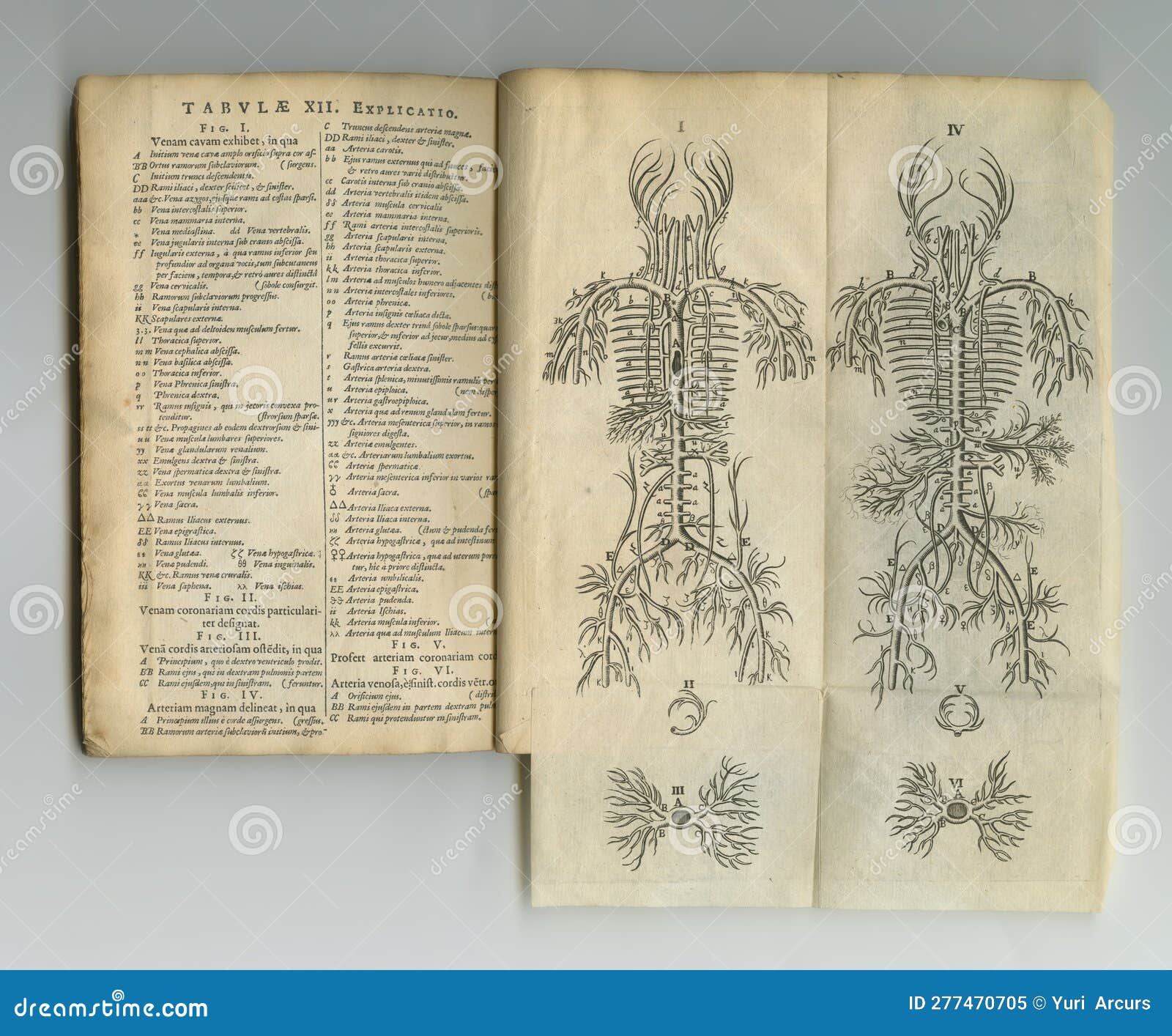 Vintage Science Book. an Old Anatomy Book with Its Pages on Display ... Vintage Science Book. an Old Anatomy Book with Its Pages on Display ...