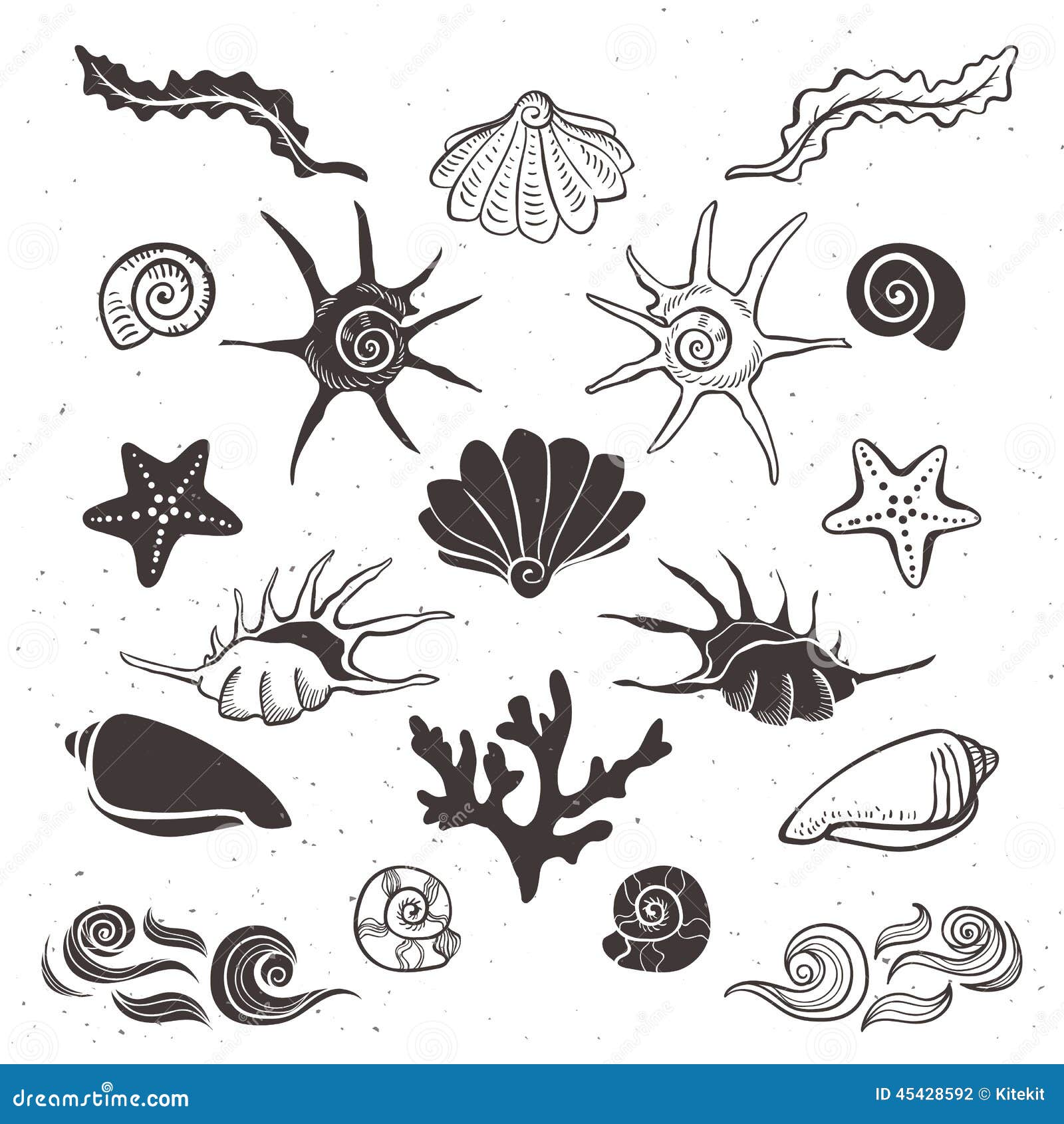 Vintage Sea Shells, Starfish, Seaweed, Coral and Waves. Stock Vector ... Vintage Sea Shells, Starfish, Seaweed, Coral and Waves. Stock Vector ...