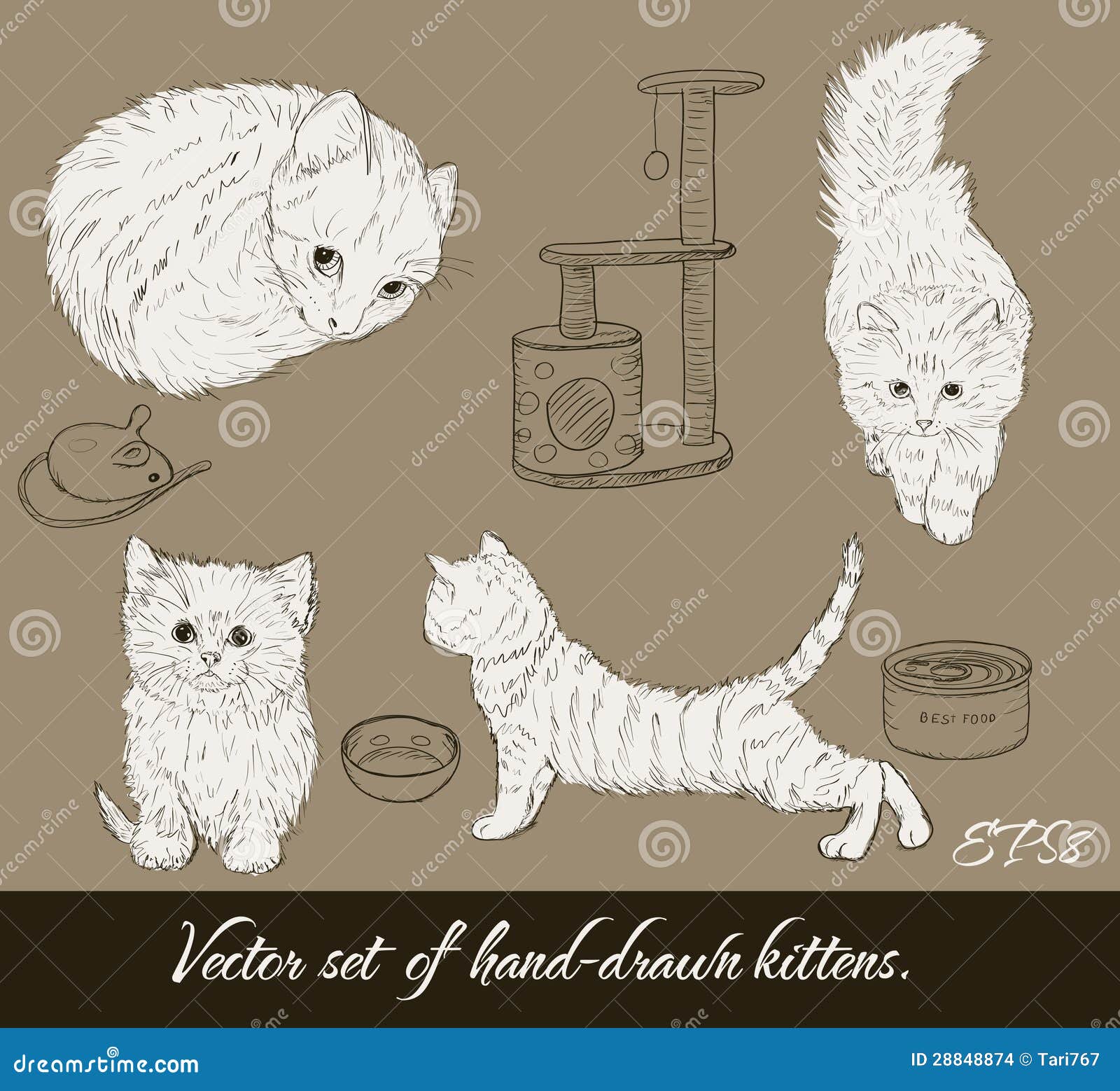 Vintage Set with Cute Kittens. Stock Vector - Illustration of character ...