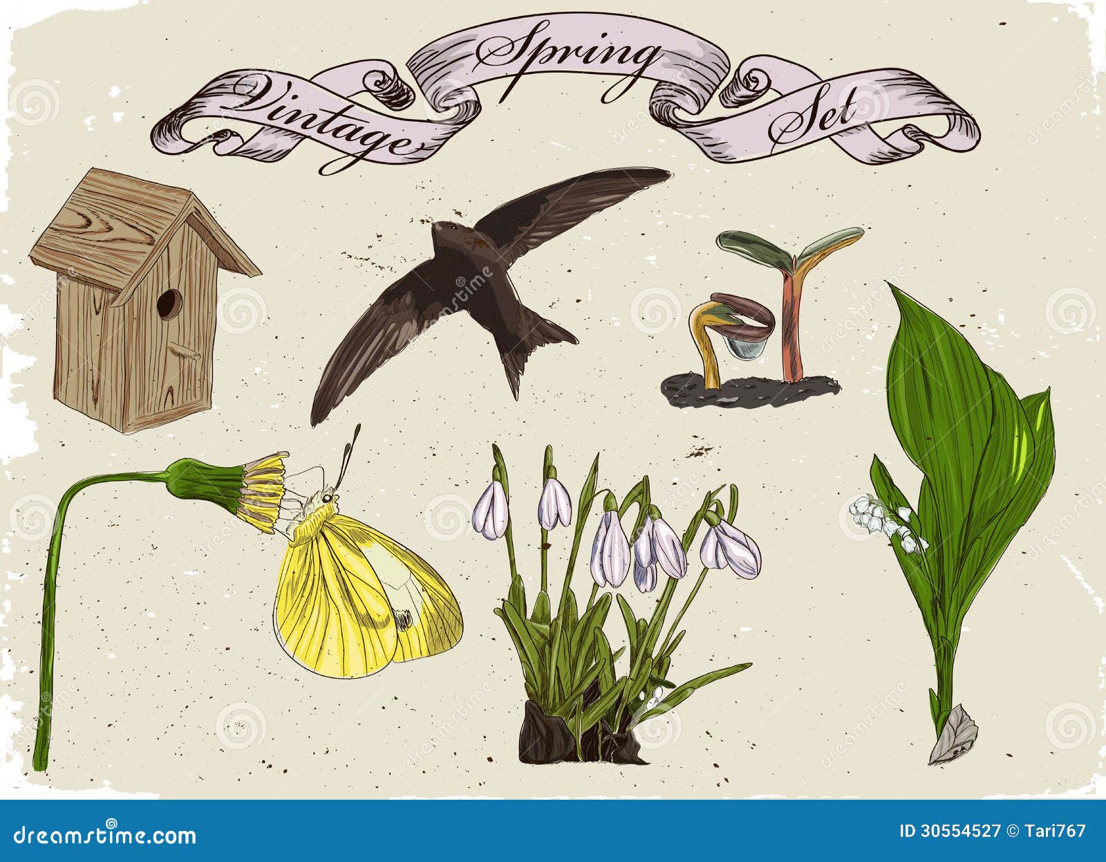 Vintage Set of Spring Elements. Stock Vector - Illustration of flowers ...