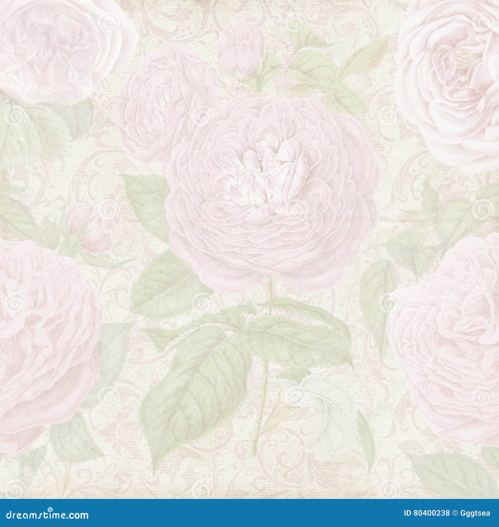 Rose On Paper Texture Royalty-Free Stock Photography | CartoonDealer ...