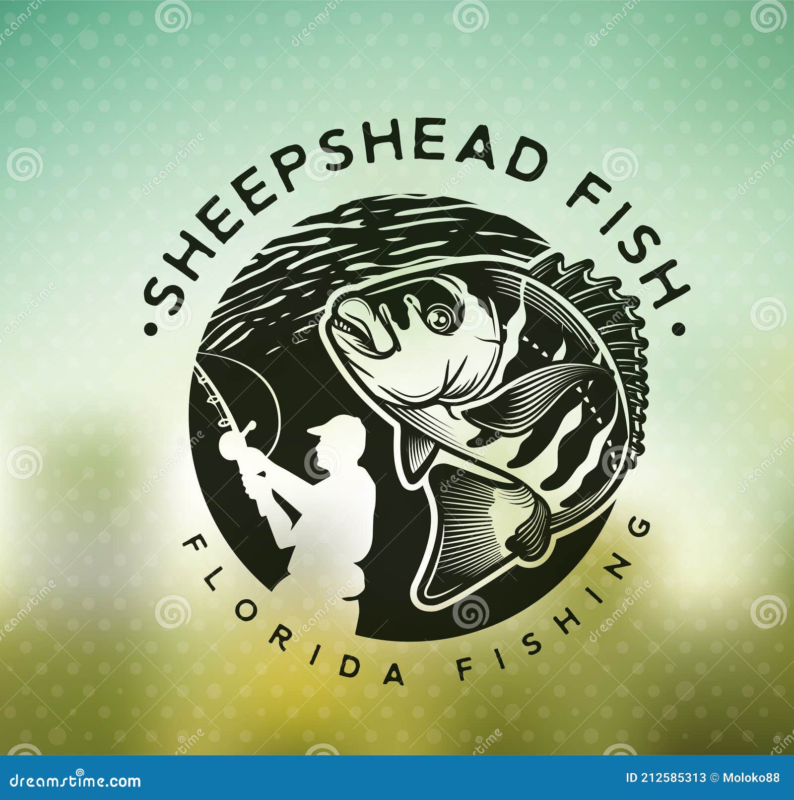Sheepshead Fish Drawing Vector Illustration | CartoonDealer.com #75791600