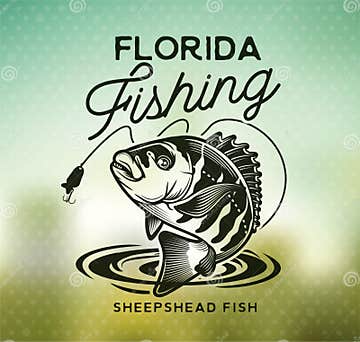 Vintage Sheepshead Fish Emblems. and Labels. Vector Illustration Stock ...