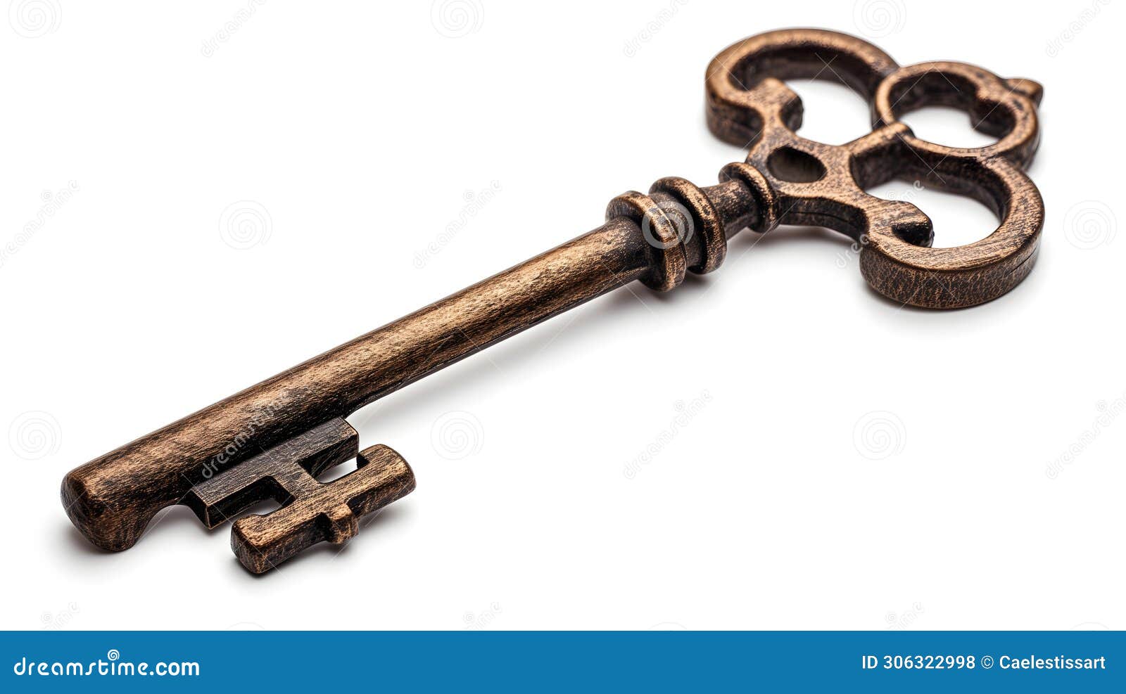 Vintage Skeleton Key Isolated on White Background Stock Illustration ...