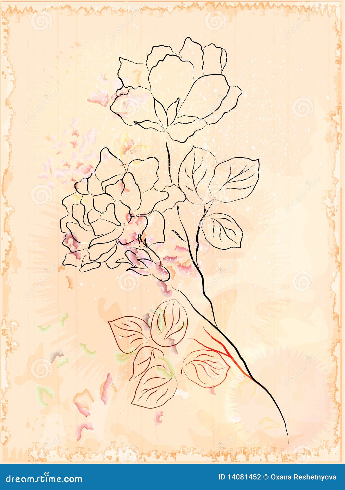 Vintage Design Drawings