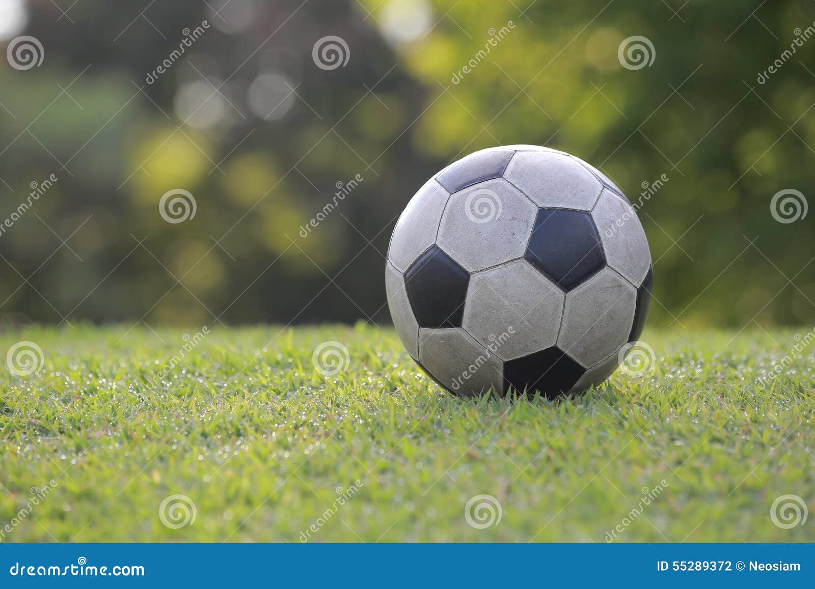 Vintage Soccer ball stock photo. Image of lawn, match - 55289372
