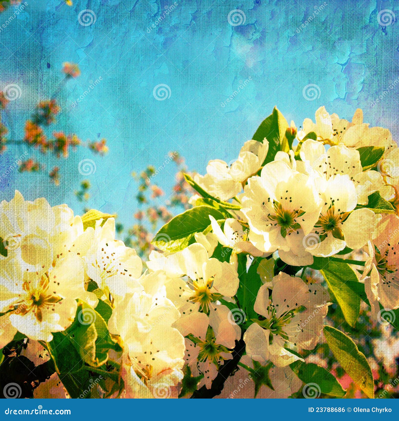 Vintage Spring Flowers Set. Collage Flowerheads In Top View With A ...