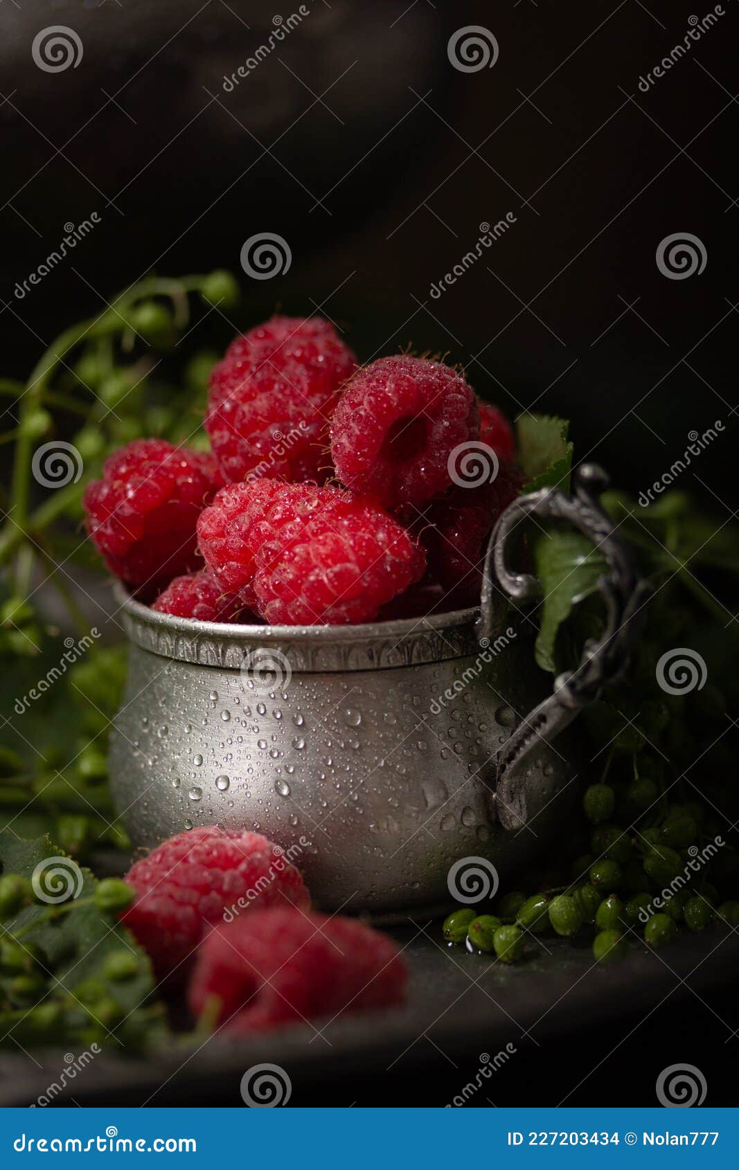 Vintage Still Life with Raspberries and Unripe Elderberries Stock Photo ...