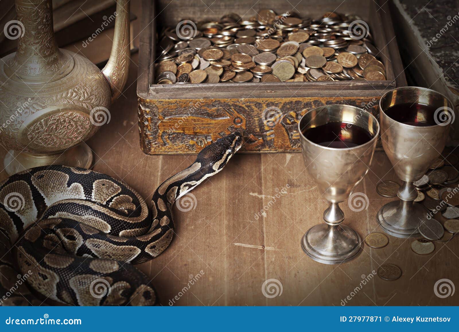 Vintage Still Life with Royal Python Stock Image - Image of vertebrate ...