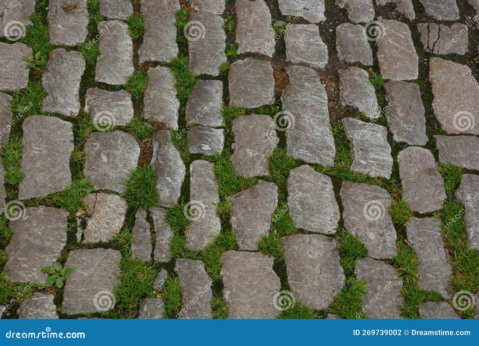 Texture Of A Footpath Paved With Red Brick Paving Slabs Stock ...