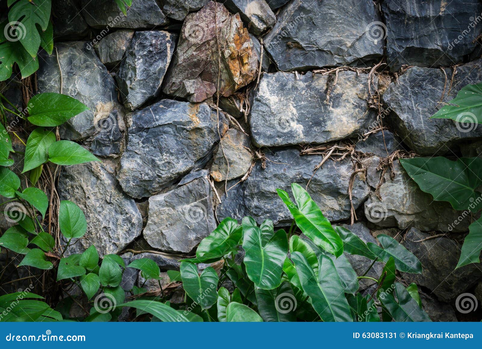 Vintage Stone walls stock image. Image of leaf, beauty - 63083131
