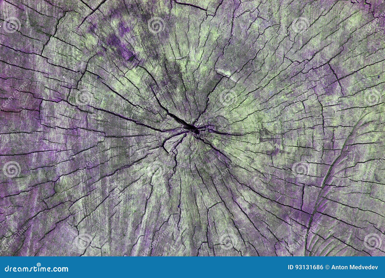 Stub Of Aged Tree Royalty-Free Stock Photo | CartoonDealer.com #44595789