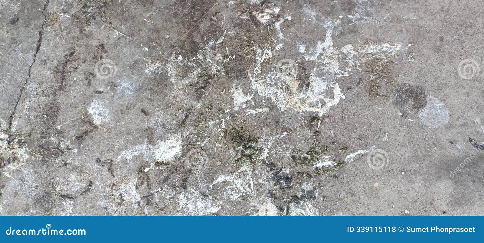 Vintage Style Bird Poop Background on Cement Background. Stock Photo ...