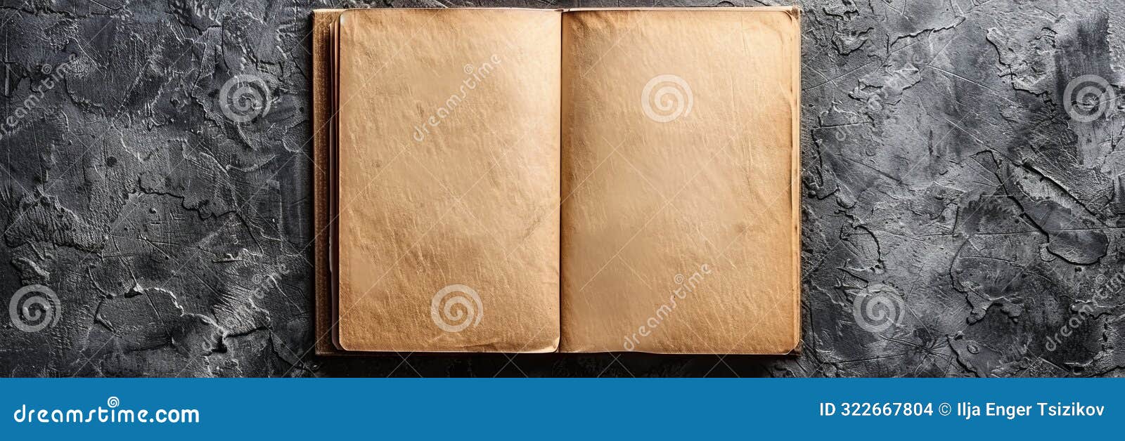 Vintage Style Blank Notebook, Classic Empty Journal for Writing ...