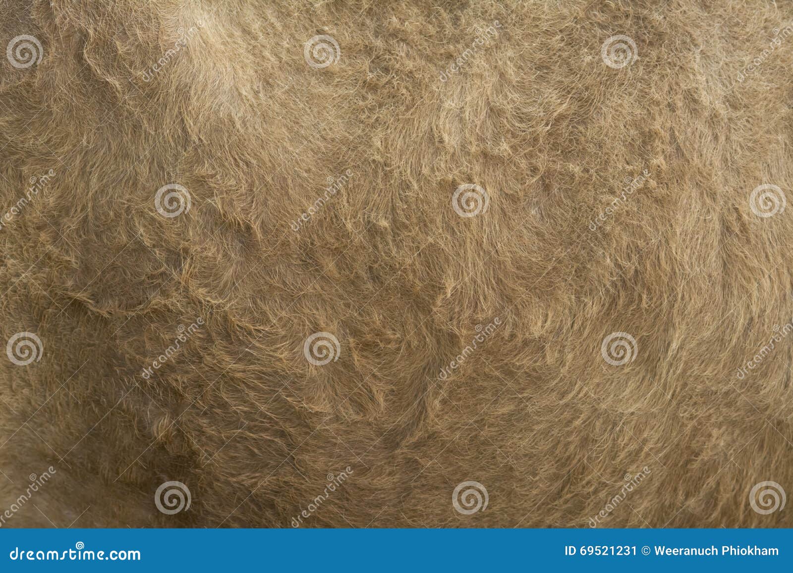Vintage Style Brown Cow Fur Background Stock Image - Image of texture ...