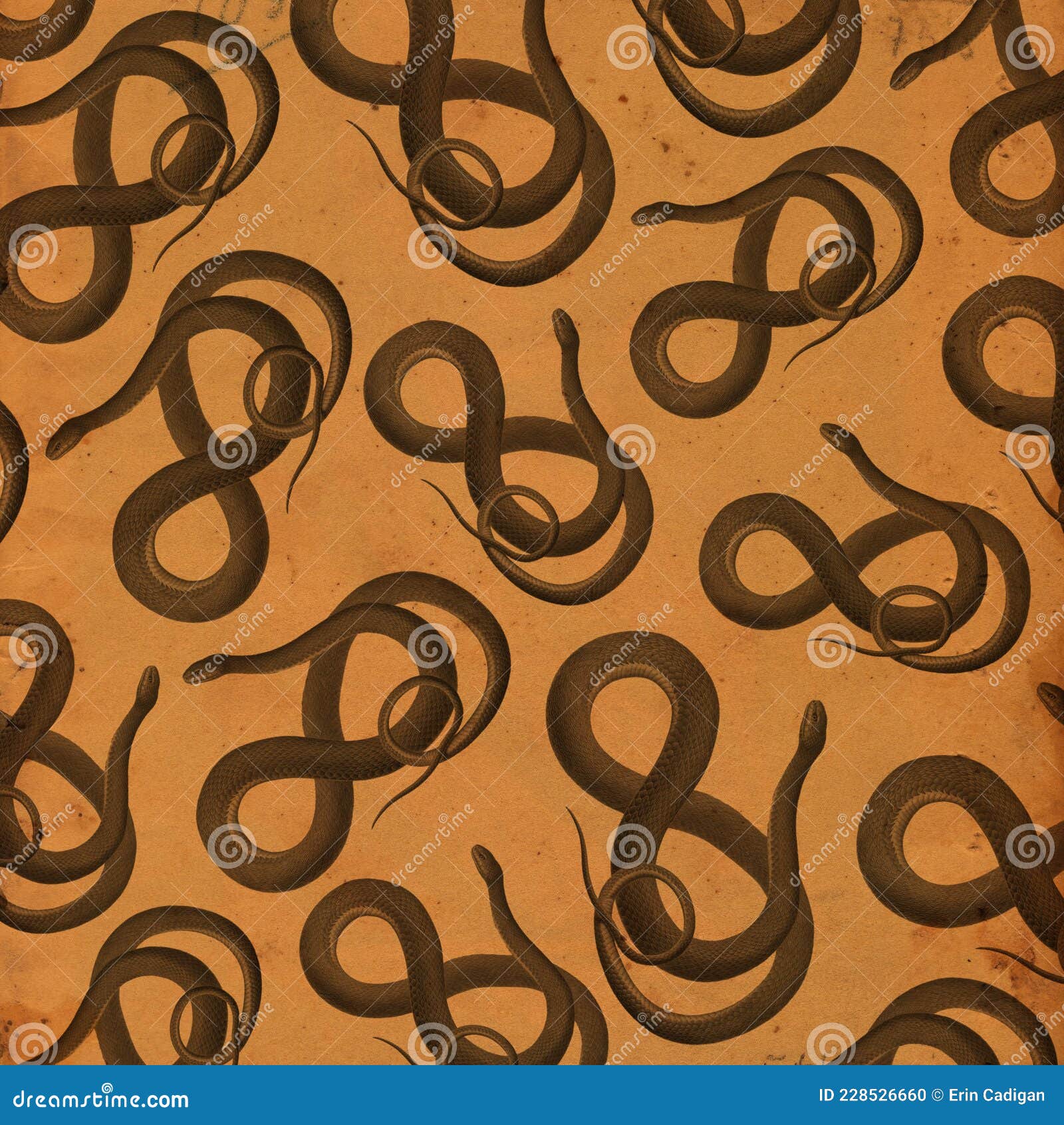 Vintage Style Kraft Halloween Background Or Wallpaper With Snakes ...