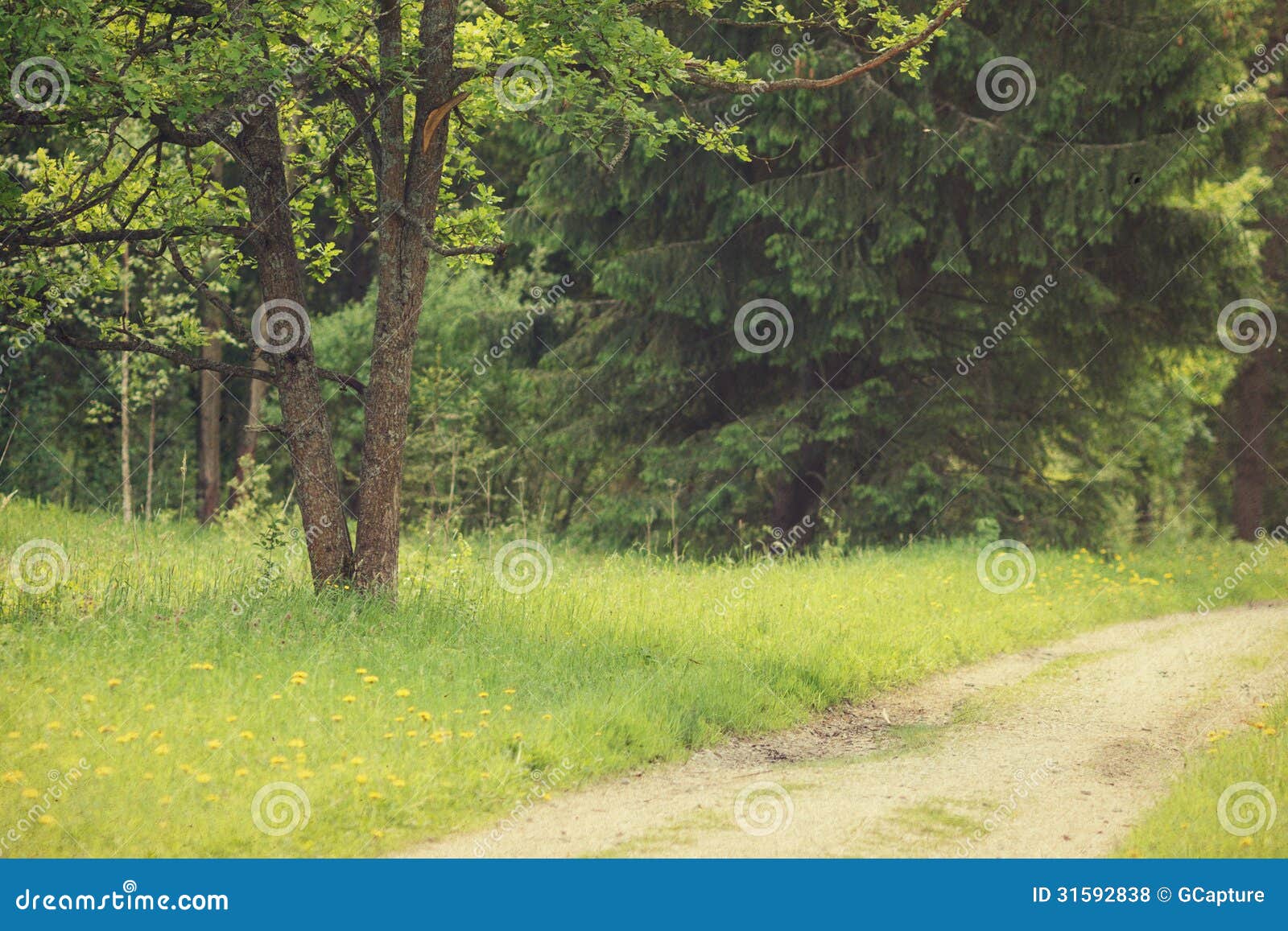 Vintage Style Landscape in Park Stock Photo - Image of pavement ...