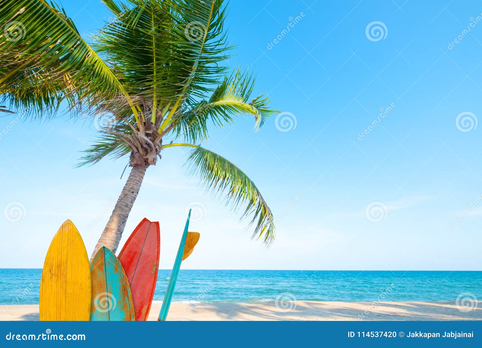 Vintage Surf Board with Palm Tree on Tropical Beach Stock Photo - Image ...