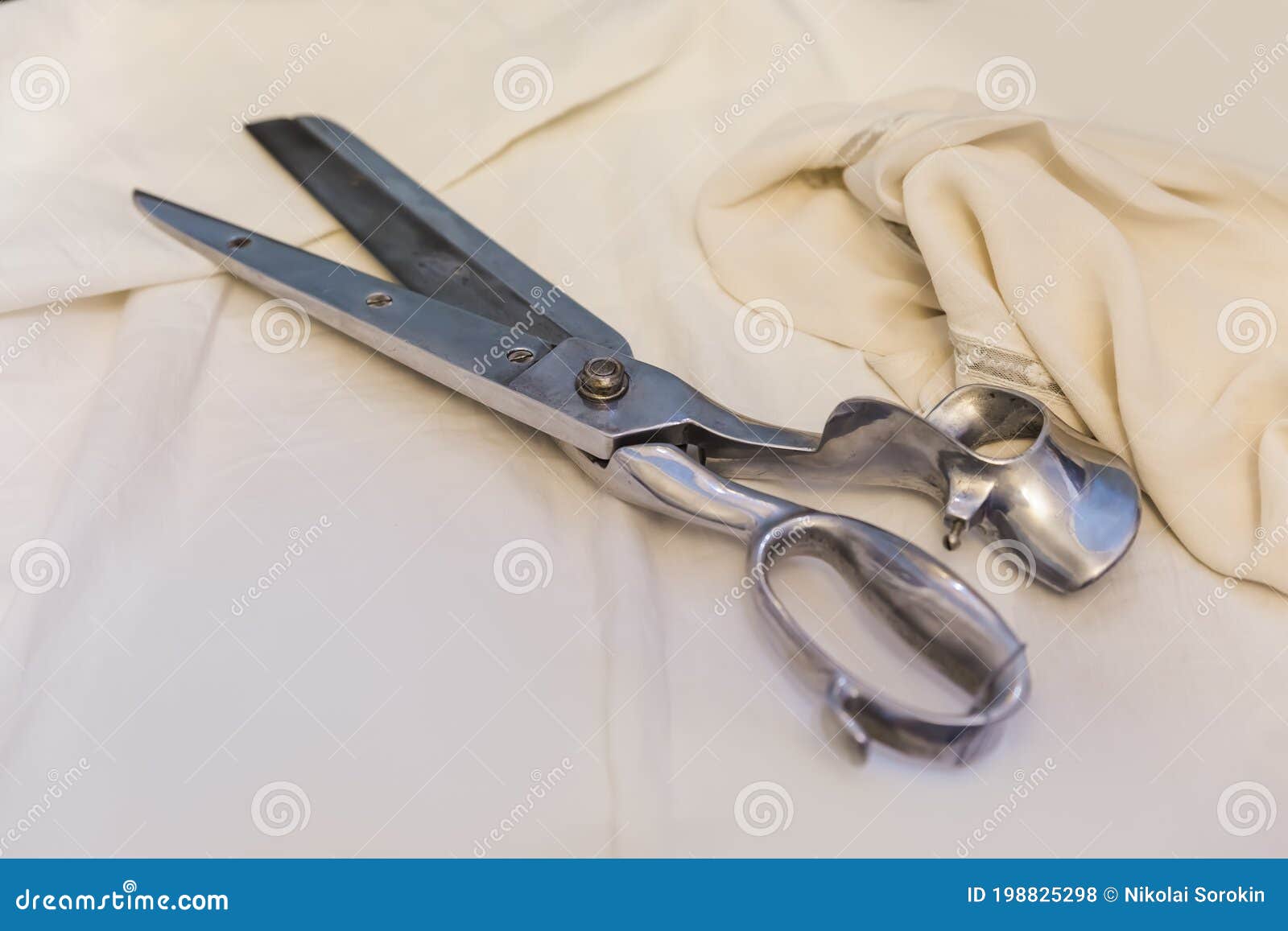 Tailor Scissors In Different Sizes And Forms Hanging On Hooks Of ...