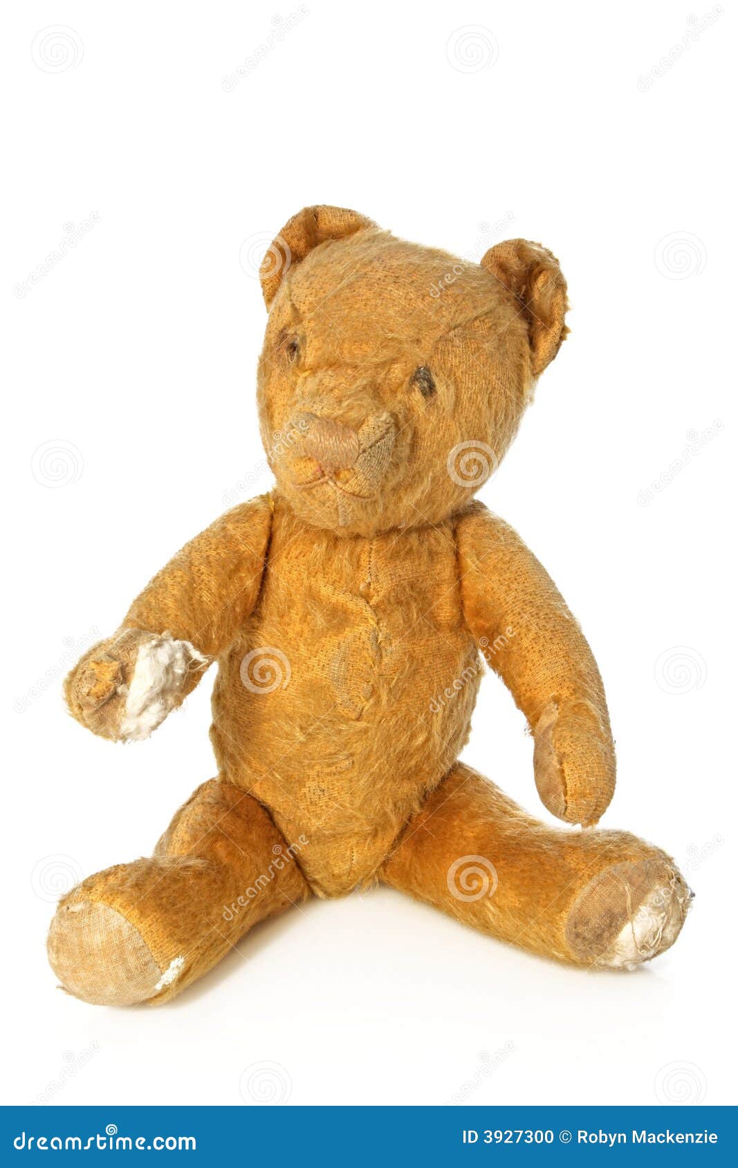 Vintage Teddy Bear On Retro Tricycle In Garden Stock Photography ...