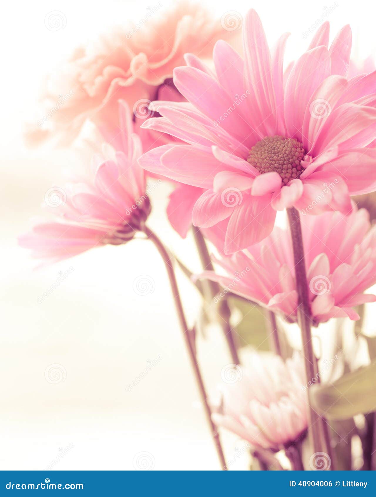 Vintage Tone Flowers stock photo. Image of pink, pretty - 40904006