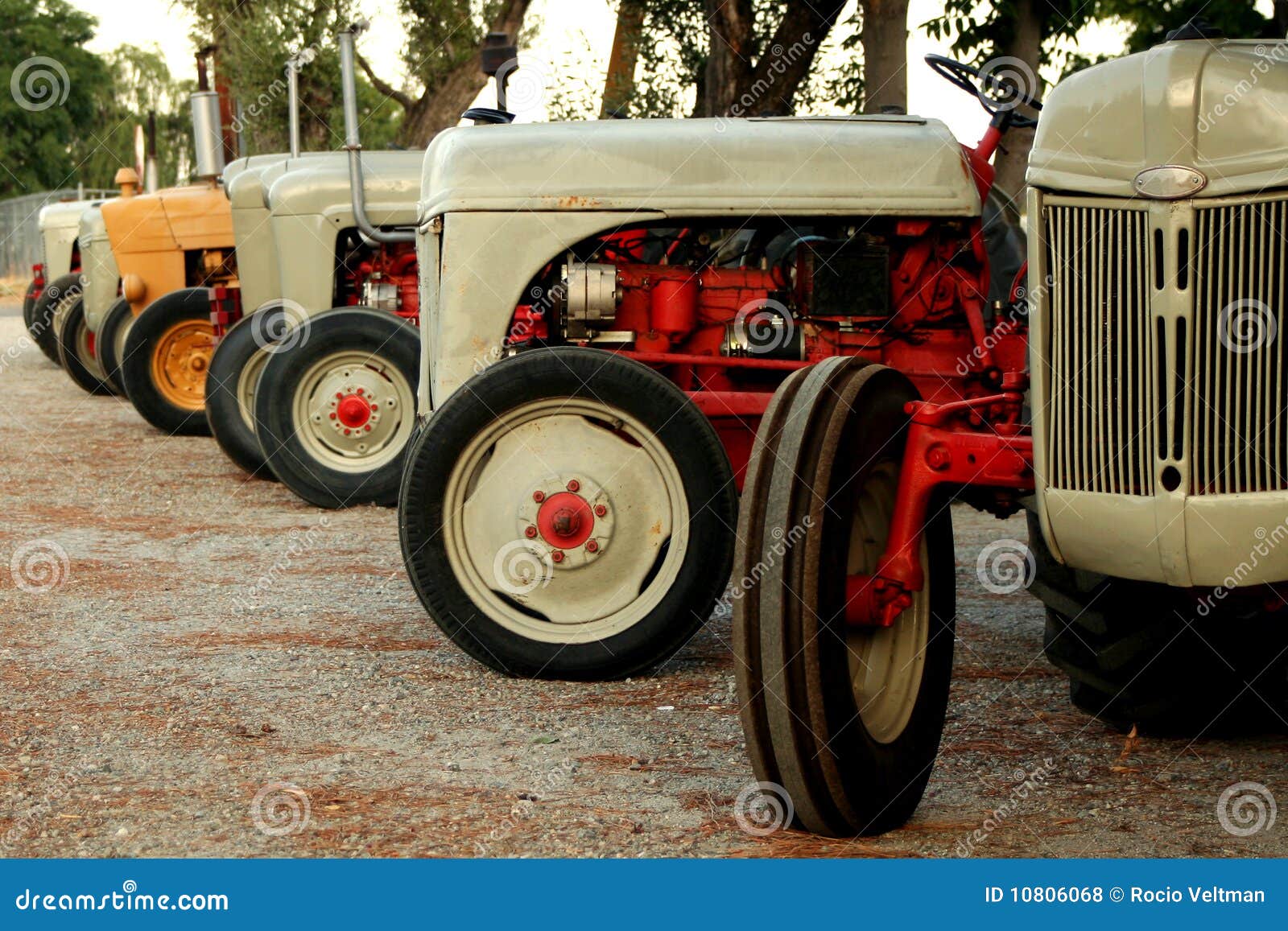 Vintage Tractors Stock Photo | CartoonDealer.com #22397088