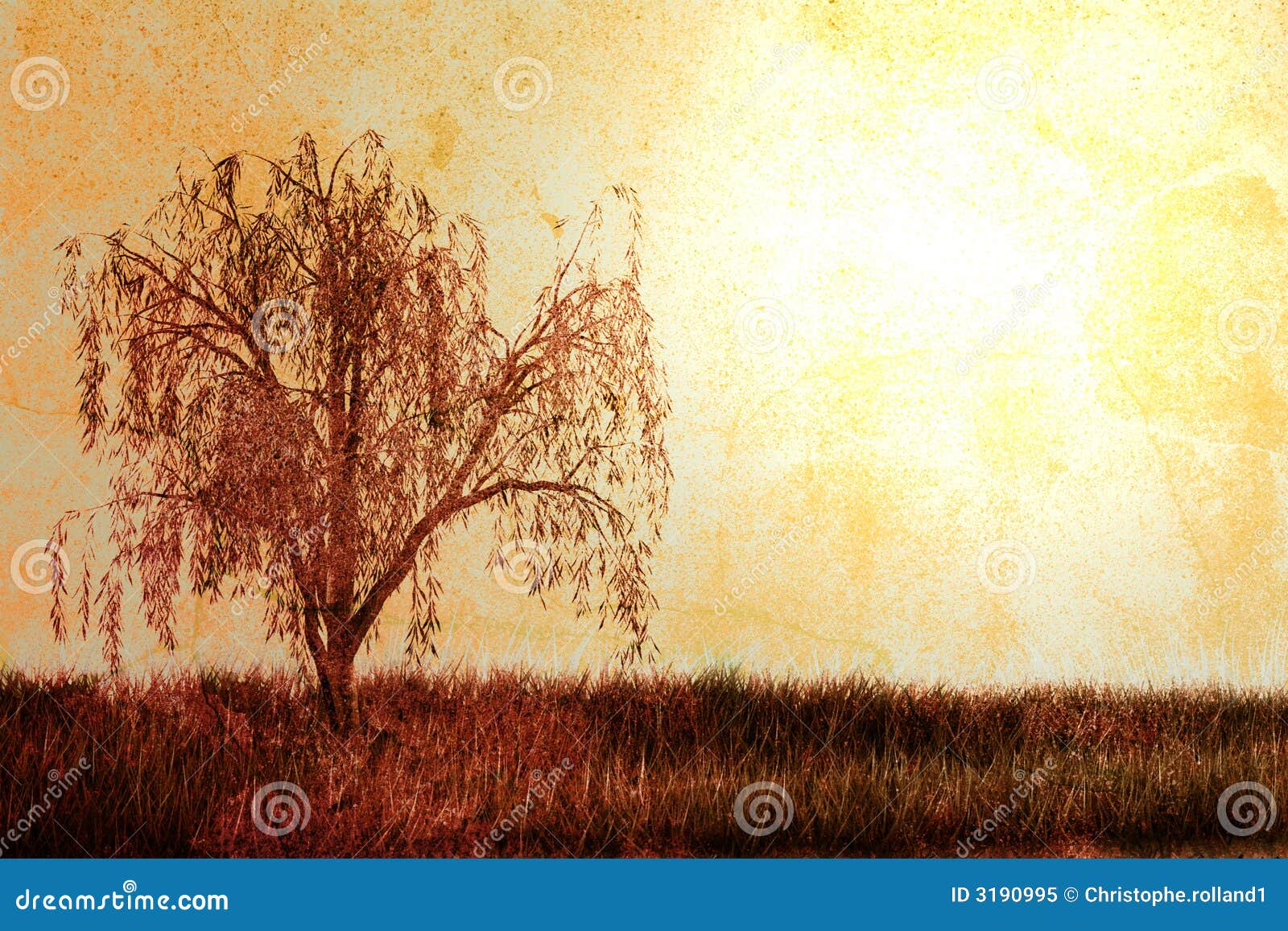 Vintage tree stock image. Image of dirt, burst, nature - 3190995