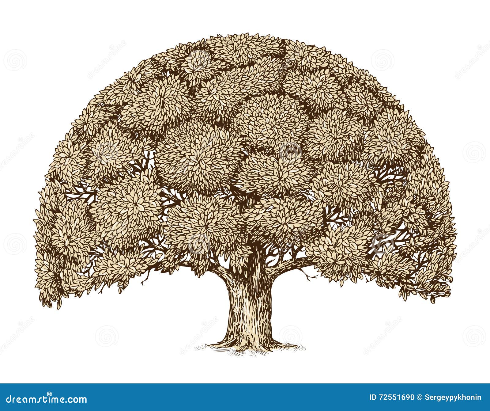 Vintage Tree Foliage. Hand-drawn Sketch Old Oak. Nature Stock Vector ...